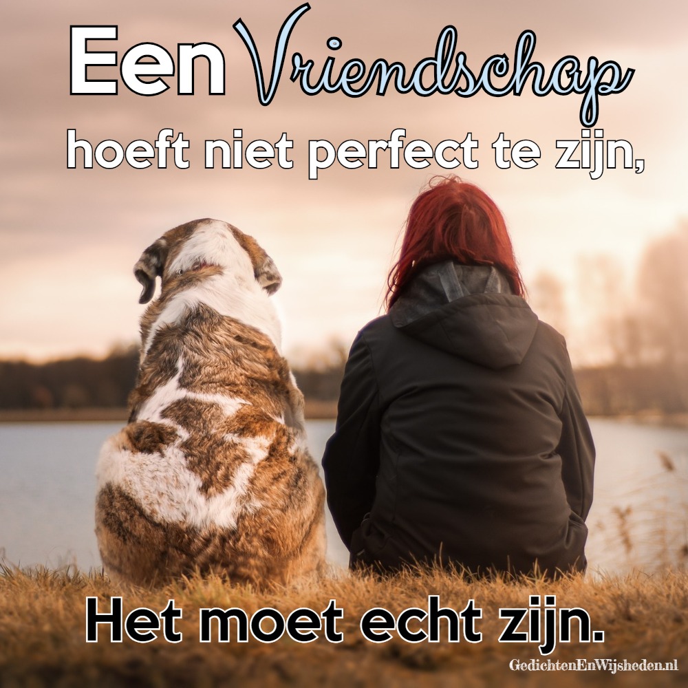 GedichtenEnWijsheden.nl - Spreuk: Een vriendschap hoeft niet perfect te ...