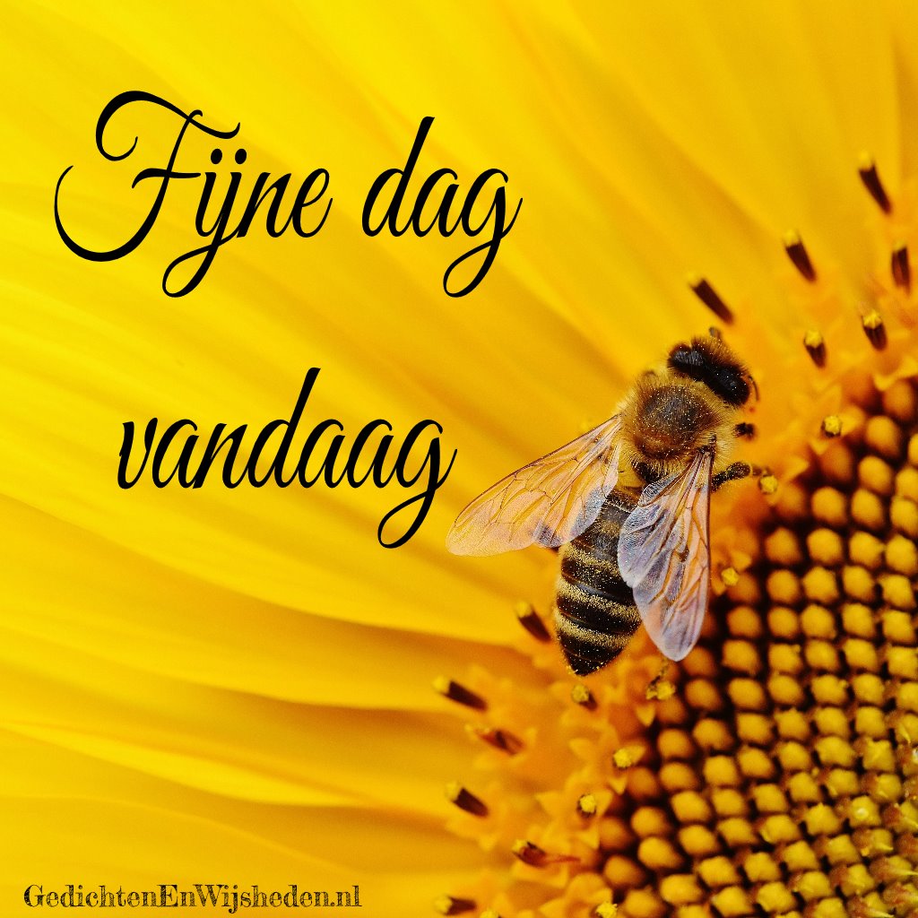 GedichtenEnWijsheden.nl - Spreuk: Fijne dag vandaag!