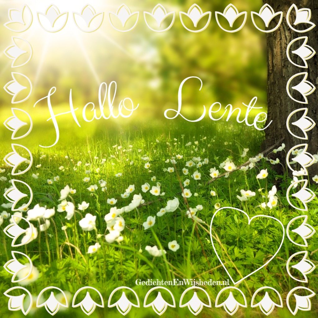 GedichtenEnWijsheden.nl - Spreuk: Hallo lente