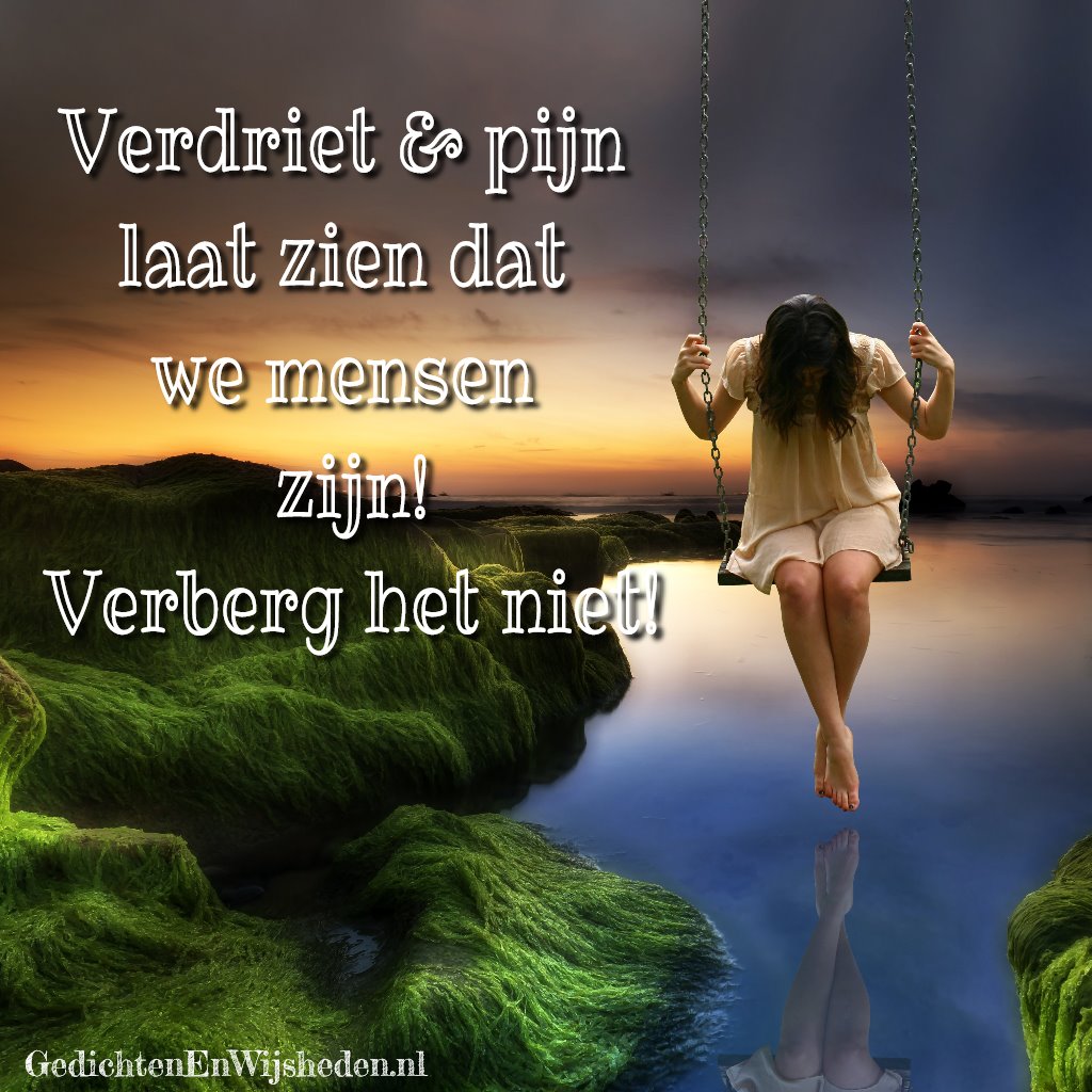 GedichtenEnWijsheden.nl - Spreuk: Verdriet en pijn laat zien dat we ...