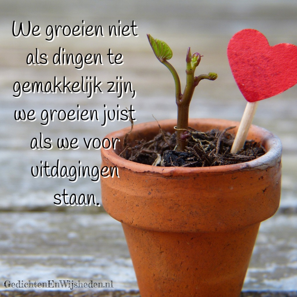 GedichtenEnWijsheden.nl - Positiviteit